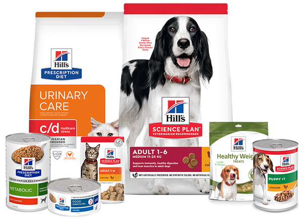 Hill's Vet - Recherche en santé vétérinaire, Outils pour le ...